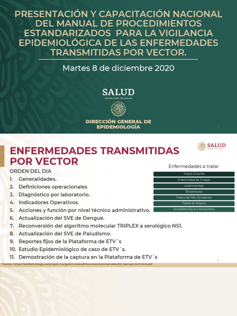 Vigilancia Epidemiológica de ETVs | PDF | Fiebre amarilla | Medicina ...