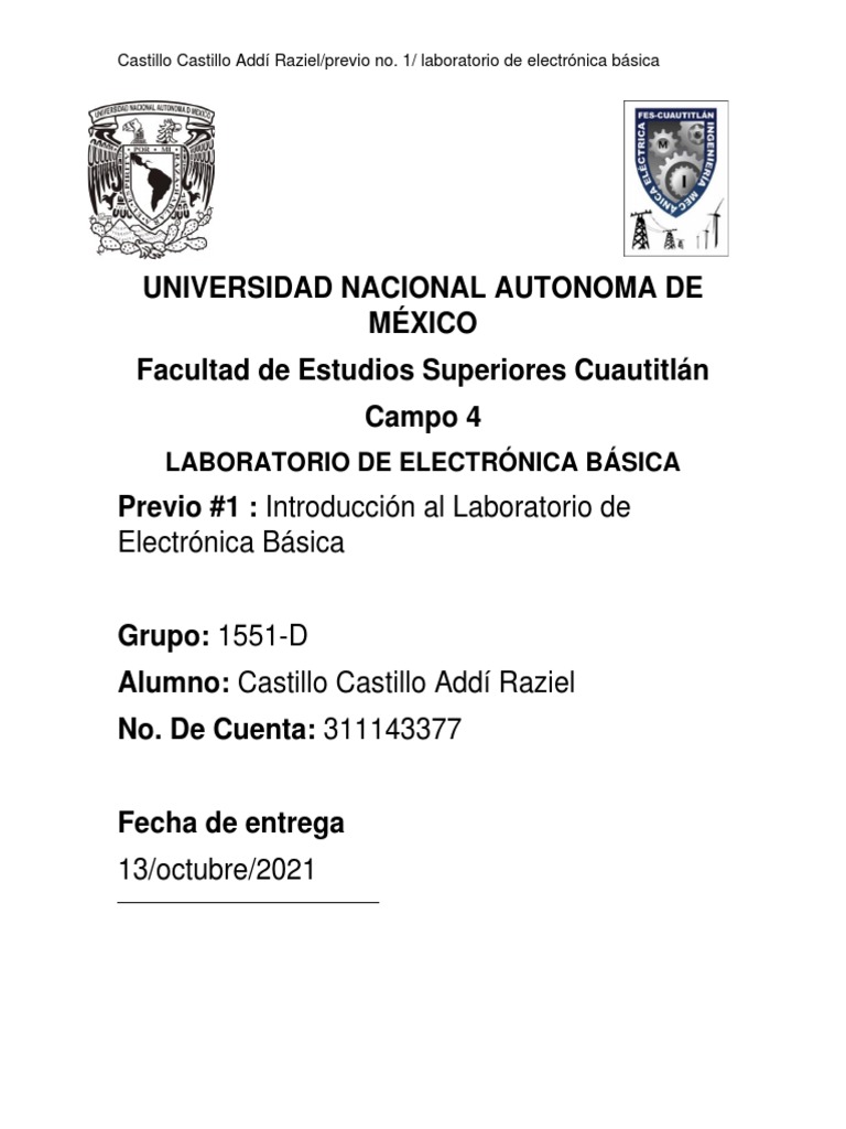 Castillo Castillo Addí Raziel Lab. E. Basica 1551D Previo 1 | PDF ...
