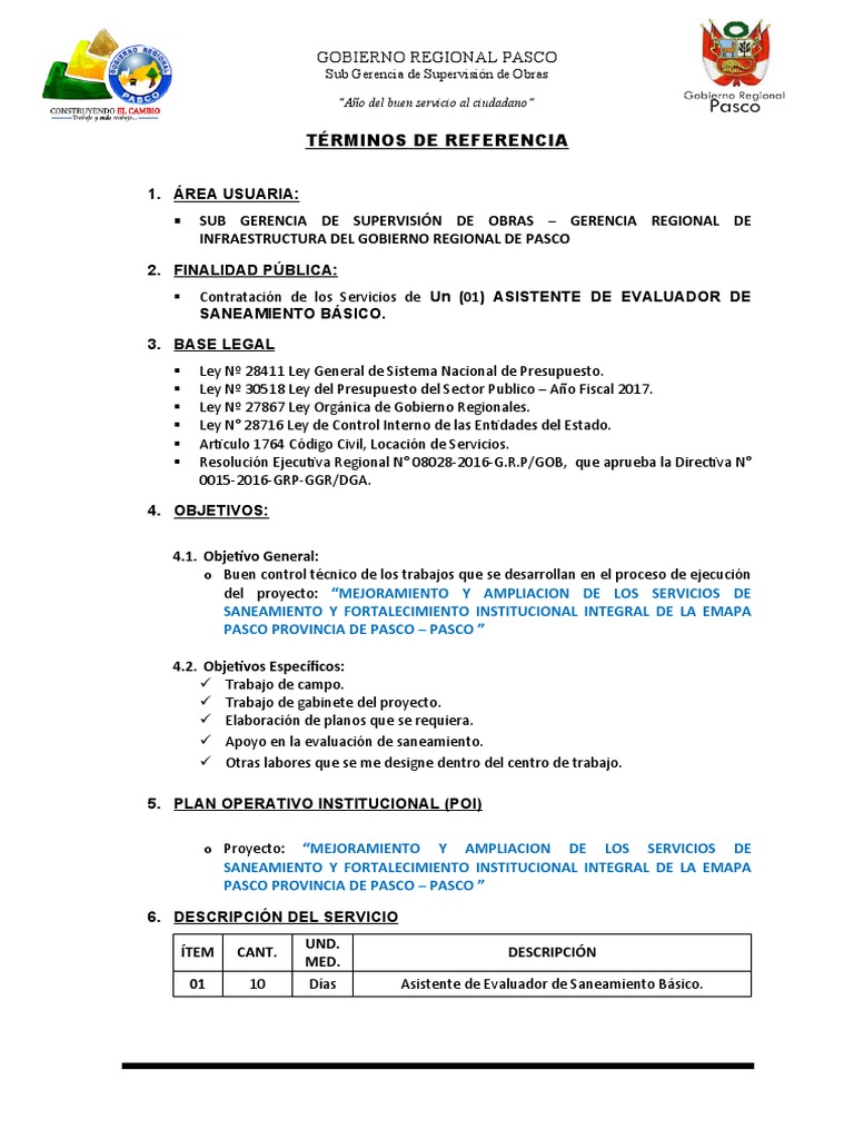 TDR Formato | PDF | Gobierno