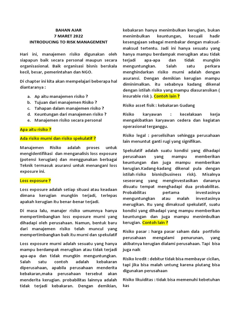 Introduction To Risk Management | PDF