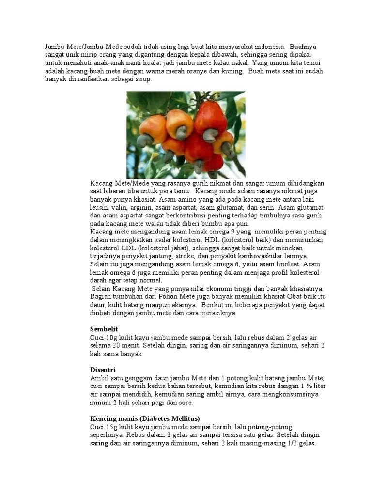 Jambu Mete | PDF