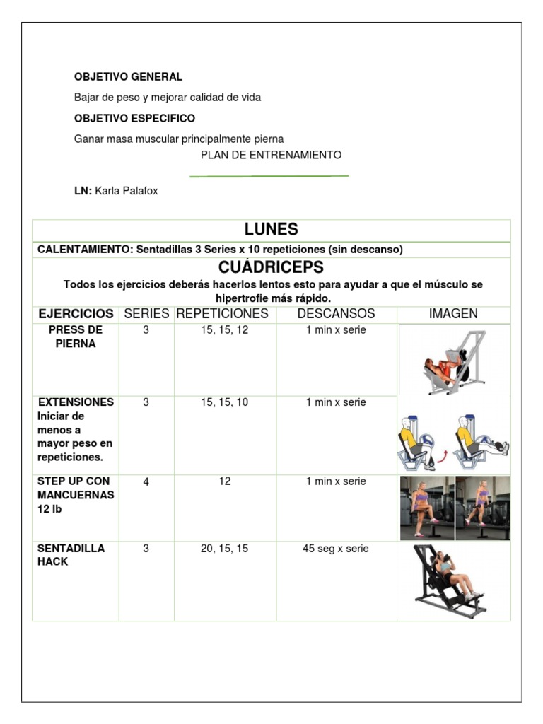 Plan de Entrenamiento GYM | PDF | Entrenamiento con pesas | Sistema musculoesquelético