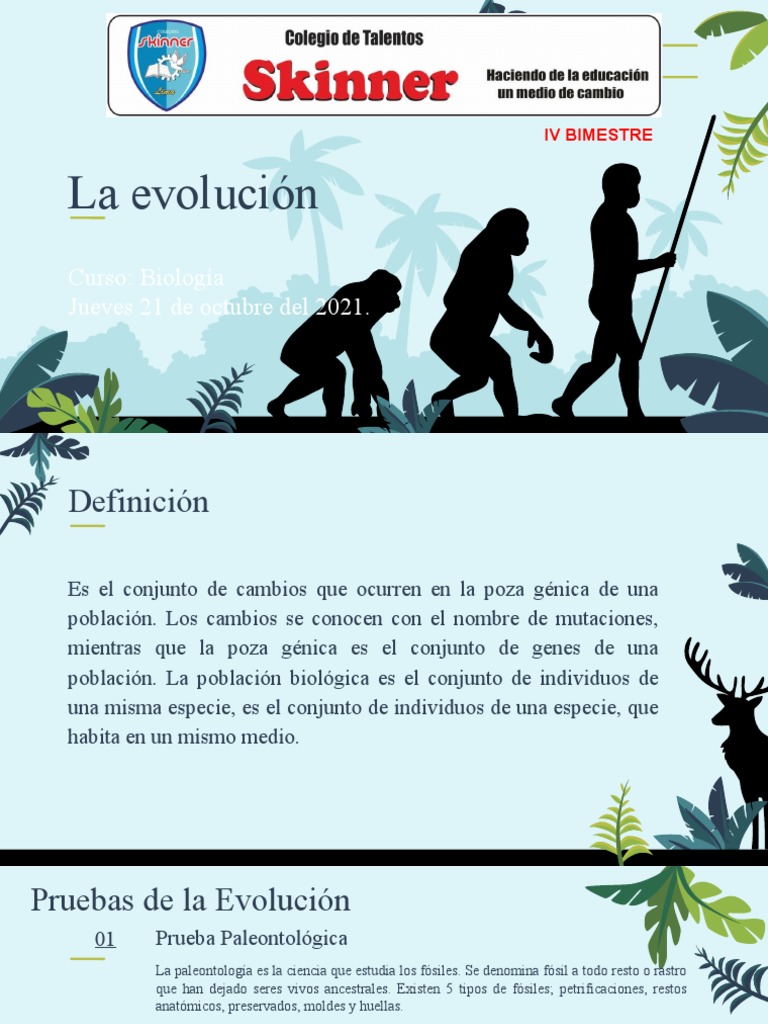 La Evolucion | PDF | Evolución | Homología (biología)