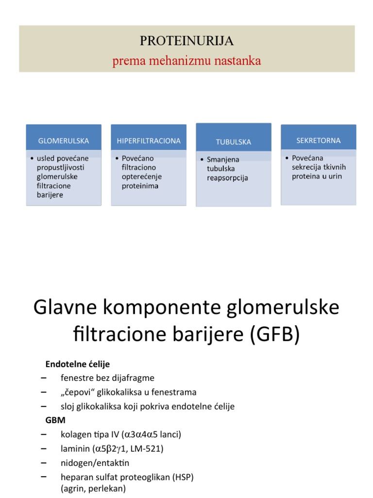 Proteinurija | PDF