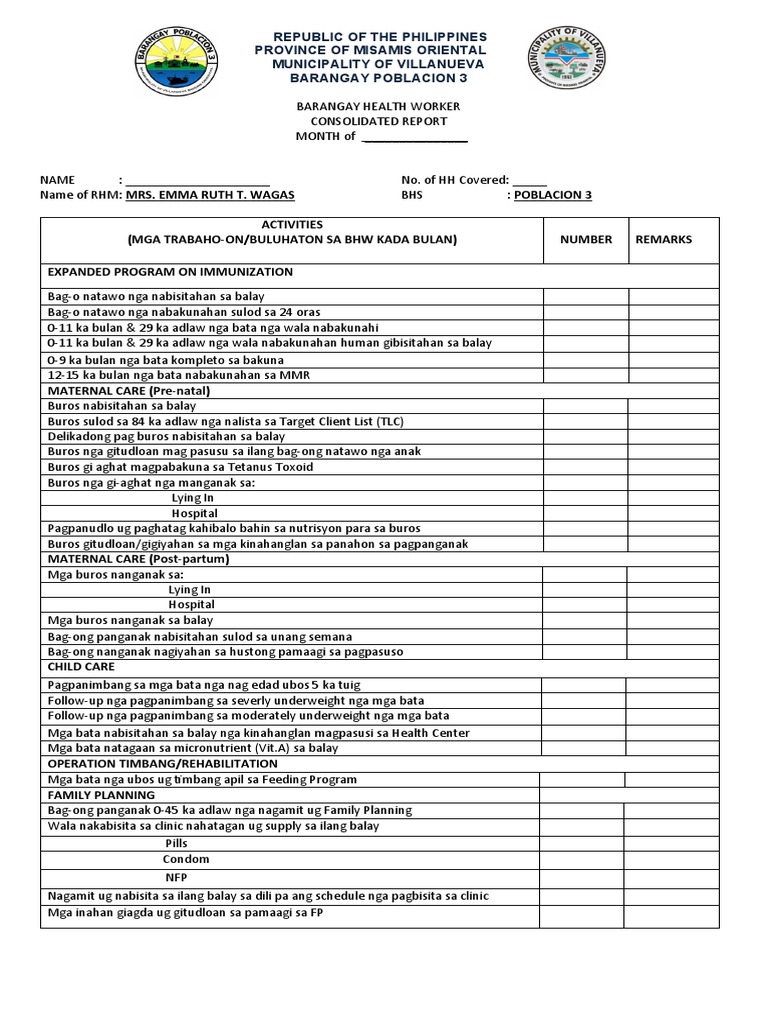 BHW Monthly Report | PDF