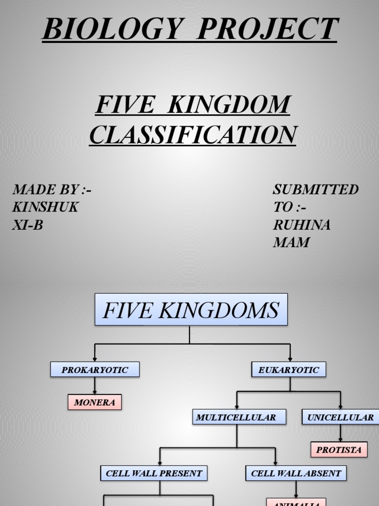 Biology Project: Five Kingdom Classification | PDF | Plants | Cell ...