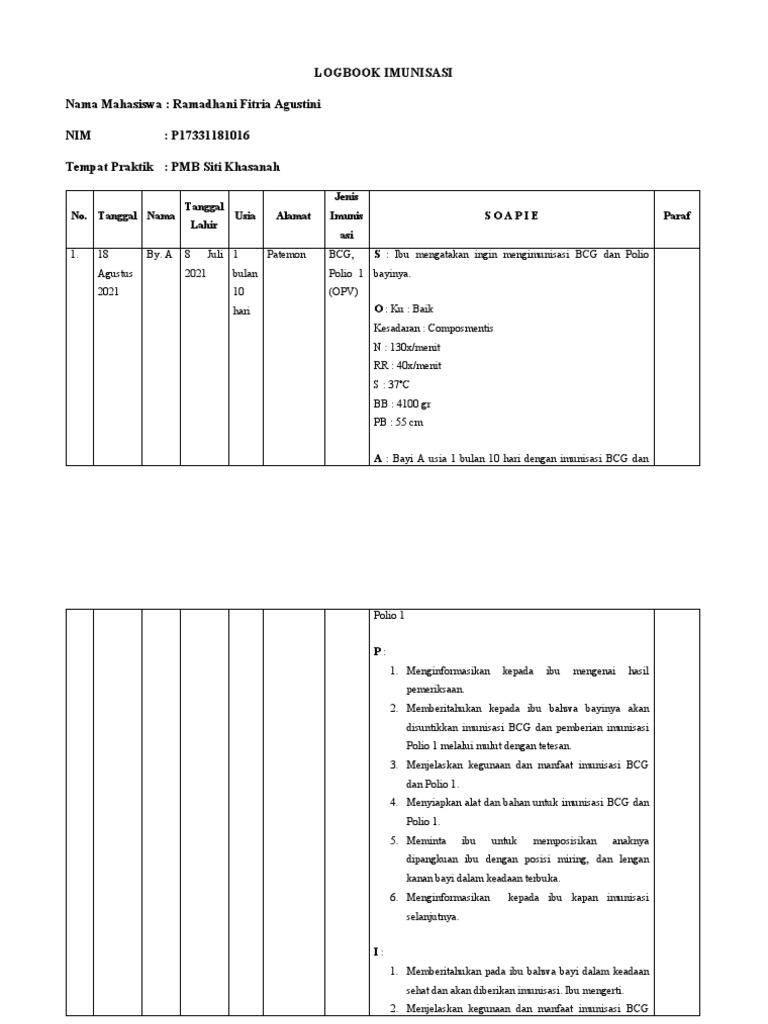 Logbook Imunisasi Bayi Dan Anak | PDF