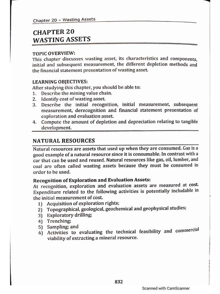 Wasting Asset | PDF