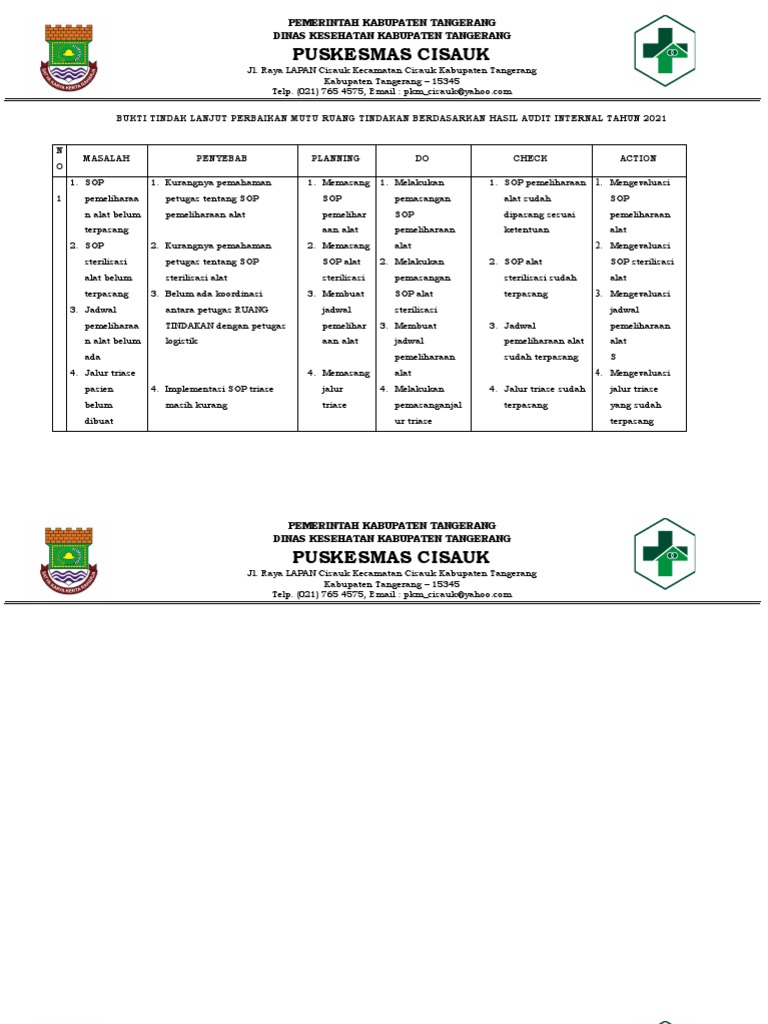 Pdca Audit Internal PKM Cisauk Tahun 2021 | PDF