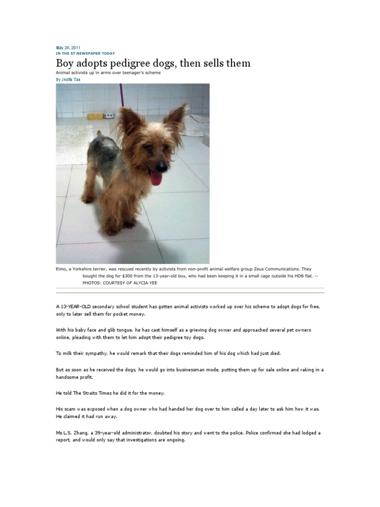 Chia Boon Teck May 26 | PDF | Dogs | Animals And Humans