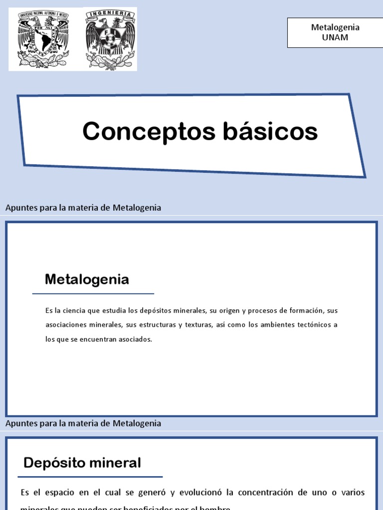 Conceptos Basicos Metalogenia | PDF