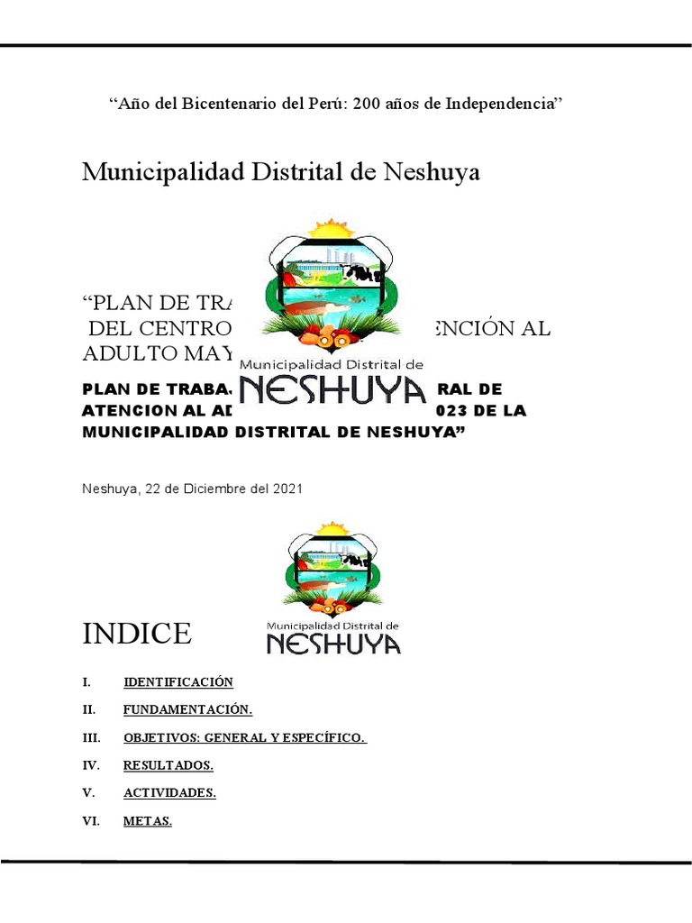 Plan de Trabajo Creación Ciam | PDF | Vejez | Adultos