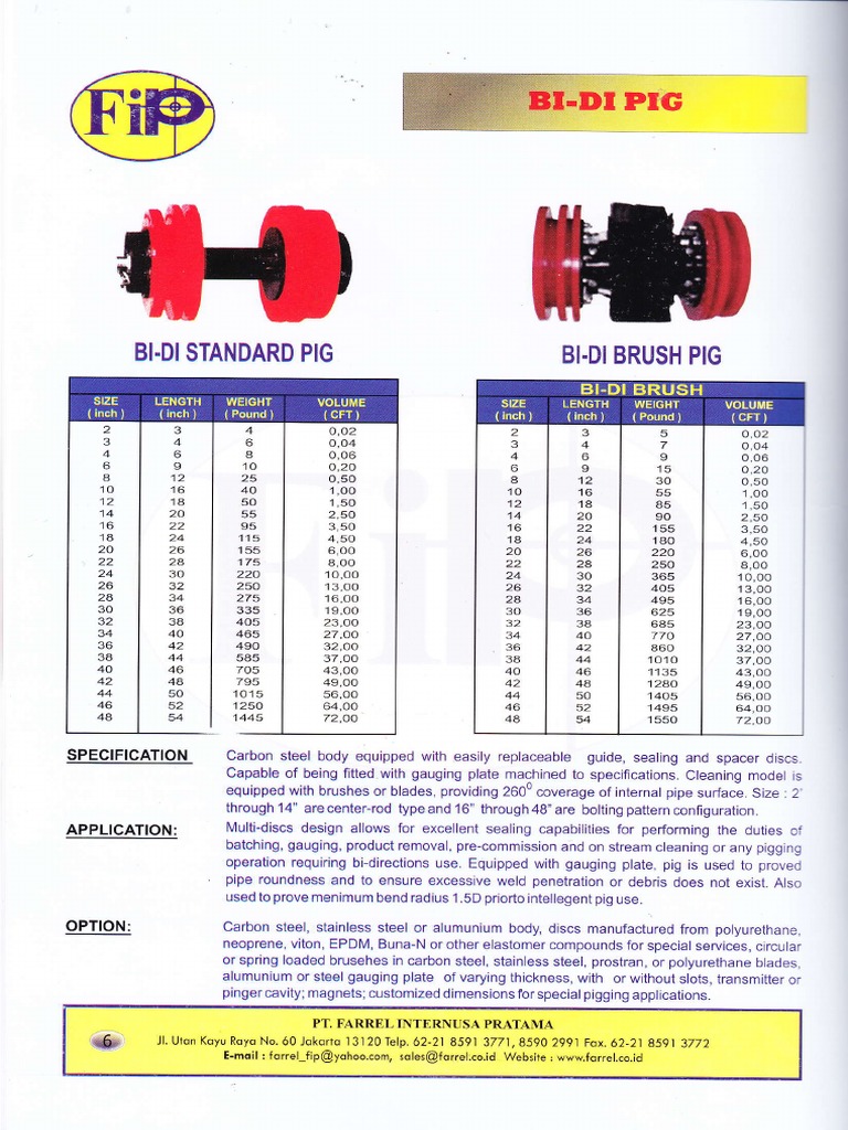 Hal 6 - BiDi Pig | PDF