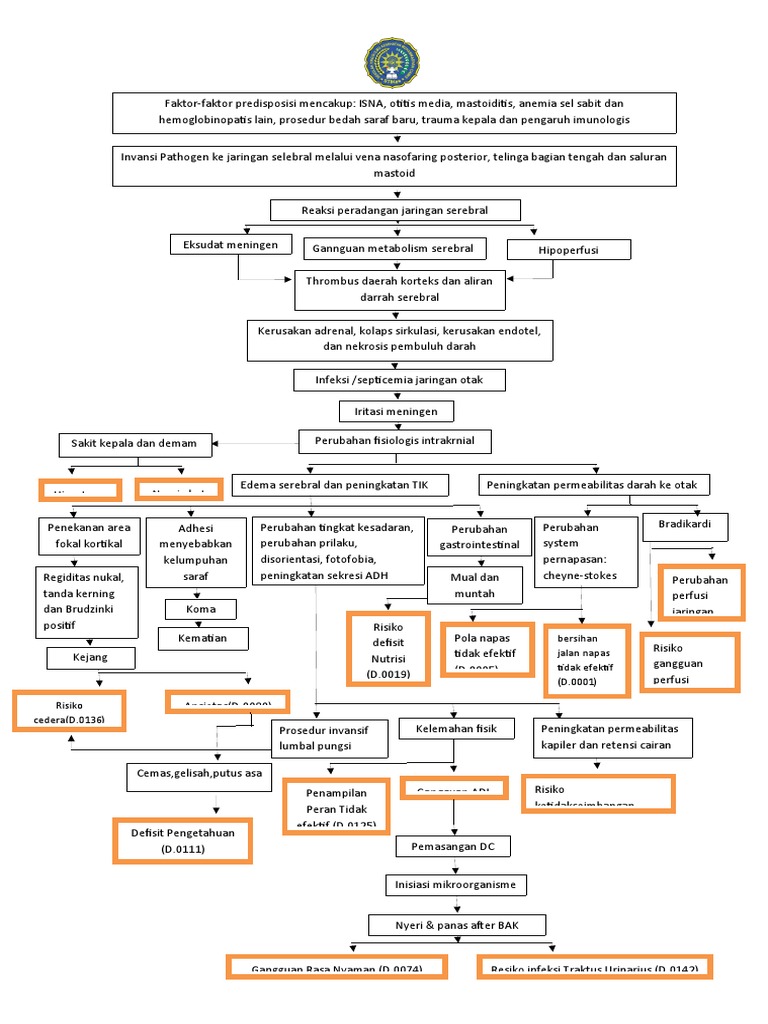Pathway Meningitis Kelompok 7 | PDF
