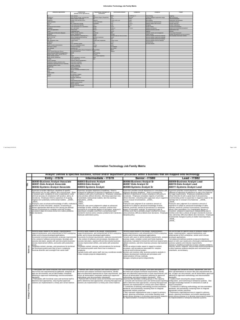 Information Technology Job Family Matrix | PDF | Databases | Implementation