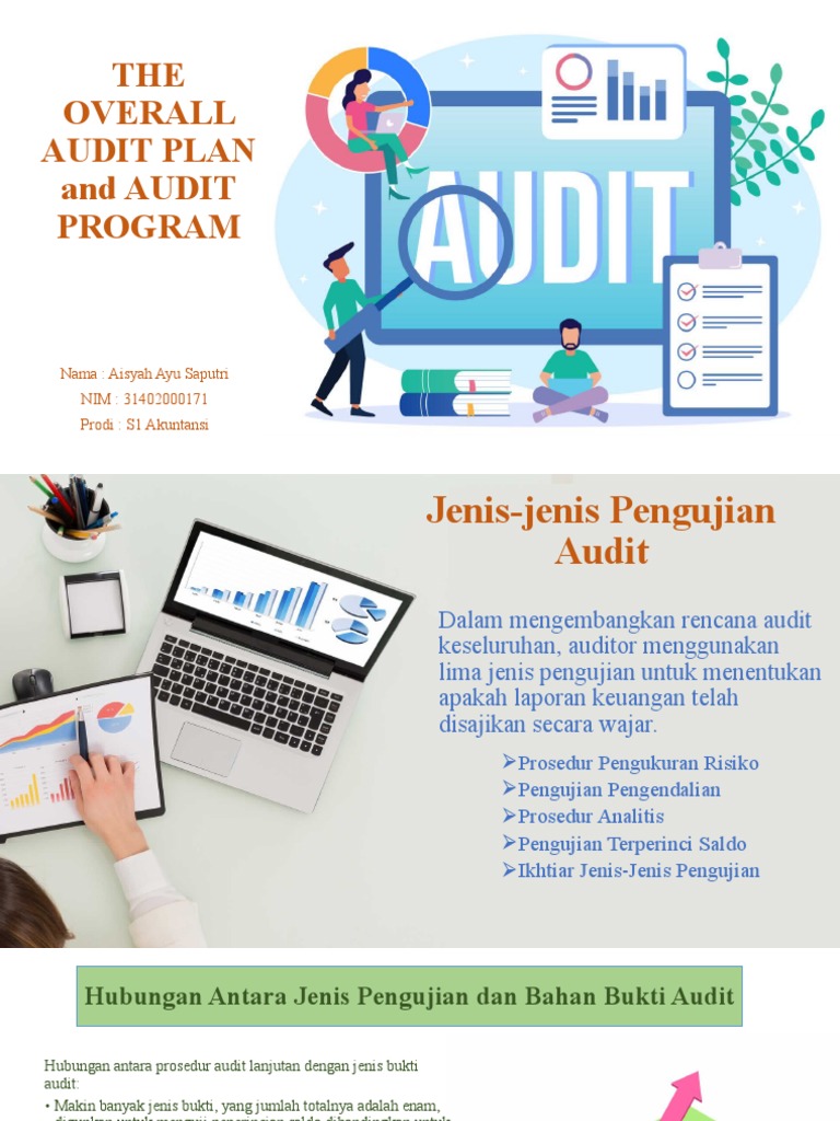 The Overall Audit Plan and Audit Program | PDF