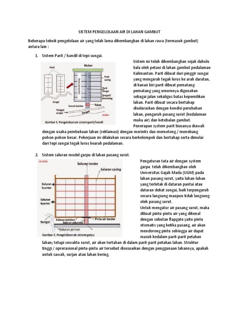 Sistem Pengelolaan Air Di Lahan Gambut | PDF