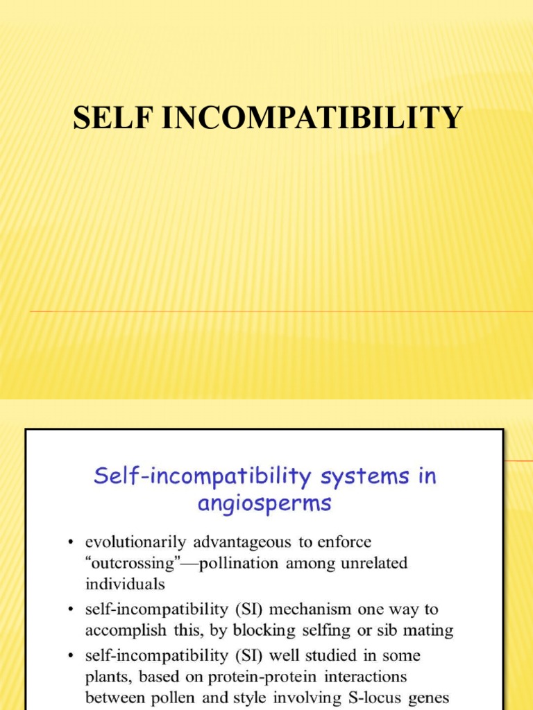 Understanding Self Incompatibility in Plants | PDF | Botany | Flowers