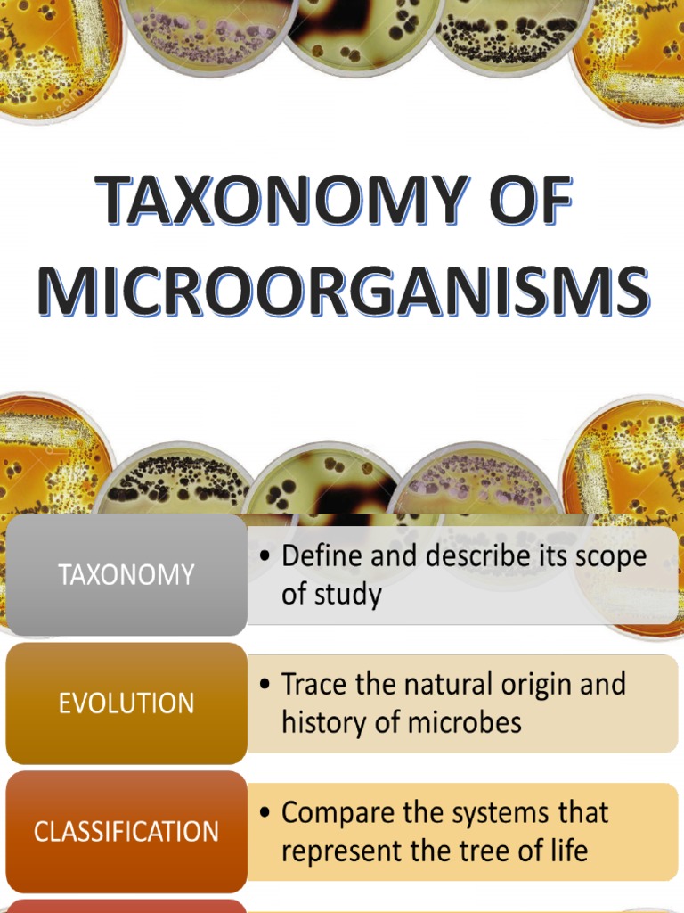 Taxonomy of Microorganisms | PDF | Organisms | Biology