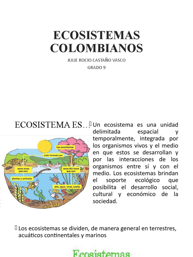 Ecosistemas Colombianos | PDF | Ecosistema | Los bosques