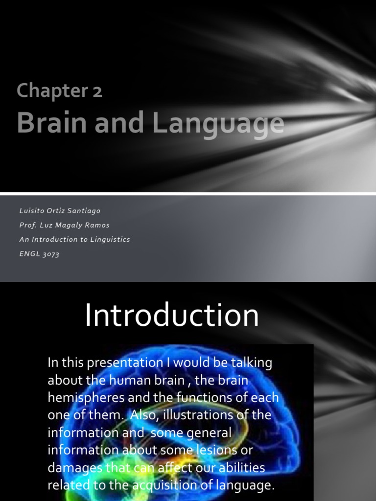 Brain Functions and Language Acquisition | PDF | Lateralization Of ...
