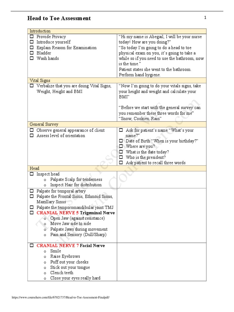 Head To Toe Assessment Adult Health | PDF | Anatomical Terms Of Motion ...