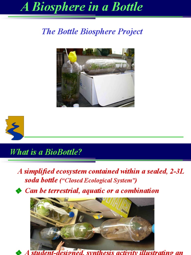 Biobottle Project | PDF | Ecosystem | Earth Sciences