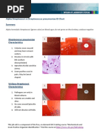 Aerobic Gram-Negative Rods Identification Flowchart | PDF | Gram ...