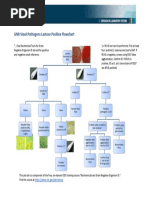 Aerobic Gram Negative Rods Flowchart 508 | PDF | Gram Negative Bacteria ...