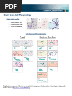 Aerobic Gram-Negative Rods Identification Flowchart | PDF | Gram ...