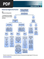 Bacterial Identification Flow Chart | PDF