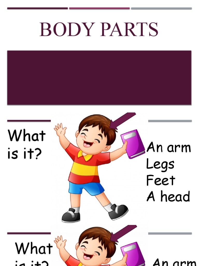Body Parts Power Point | PDF