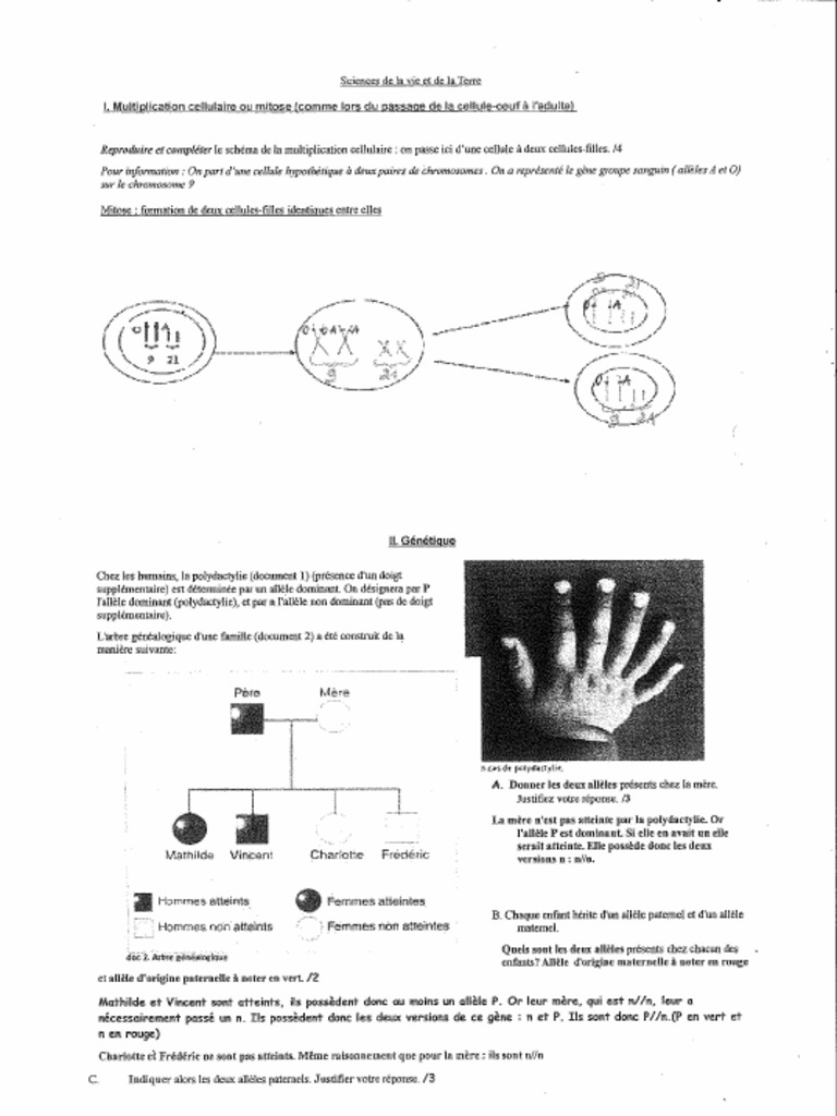Sujet Et Correction Du Brevet Blanc de SVT 2017 | PDF