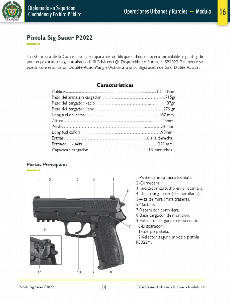 Pistola Sig Sauer P2022 | PDF | Revista (armas de fuego) | Pistola