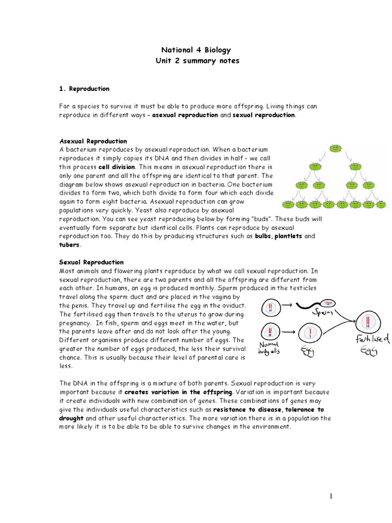 National 4 Biology Unit 2 Summary Notes | PDF | Reproduction | Sexual ...