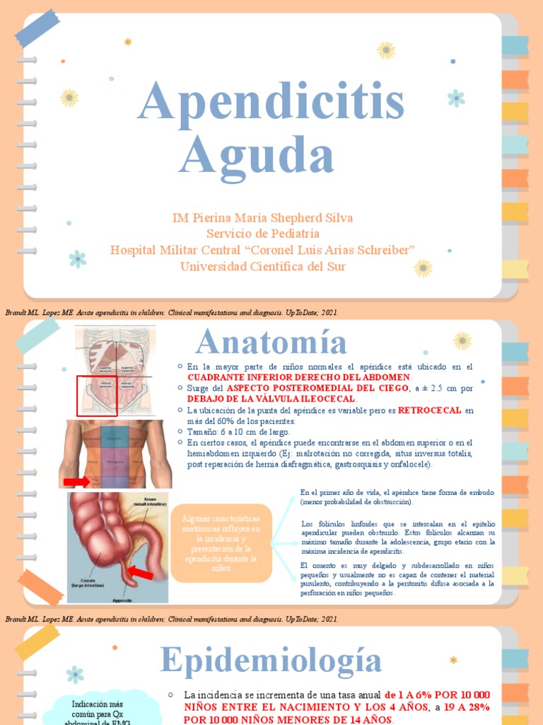 Apendicitis Aguda | PDF | Ciencias de la Salud | Síntomas y signos