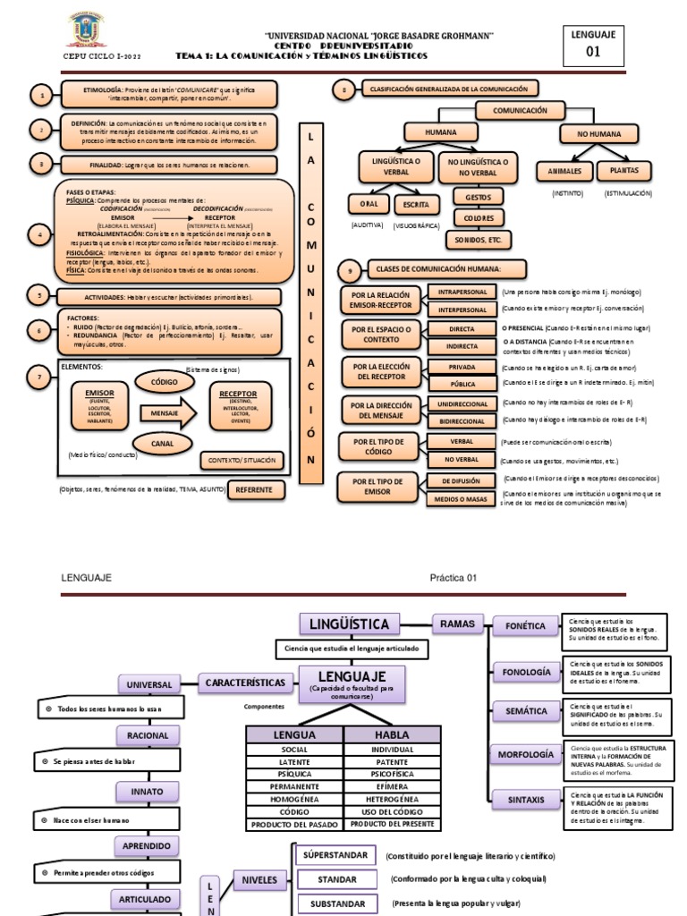 Práct. 01 - Lenguaje | PDF | Comunicación | Comunicación no verbal