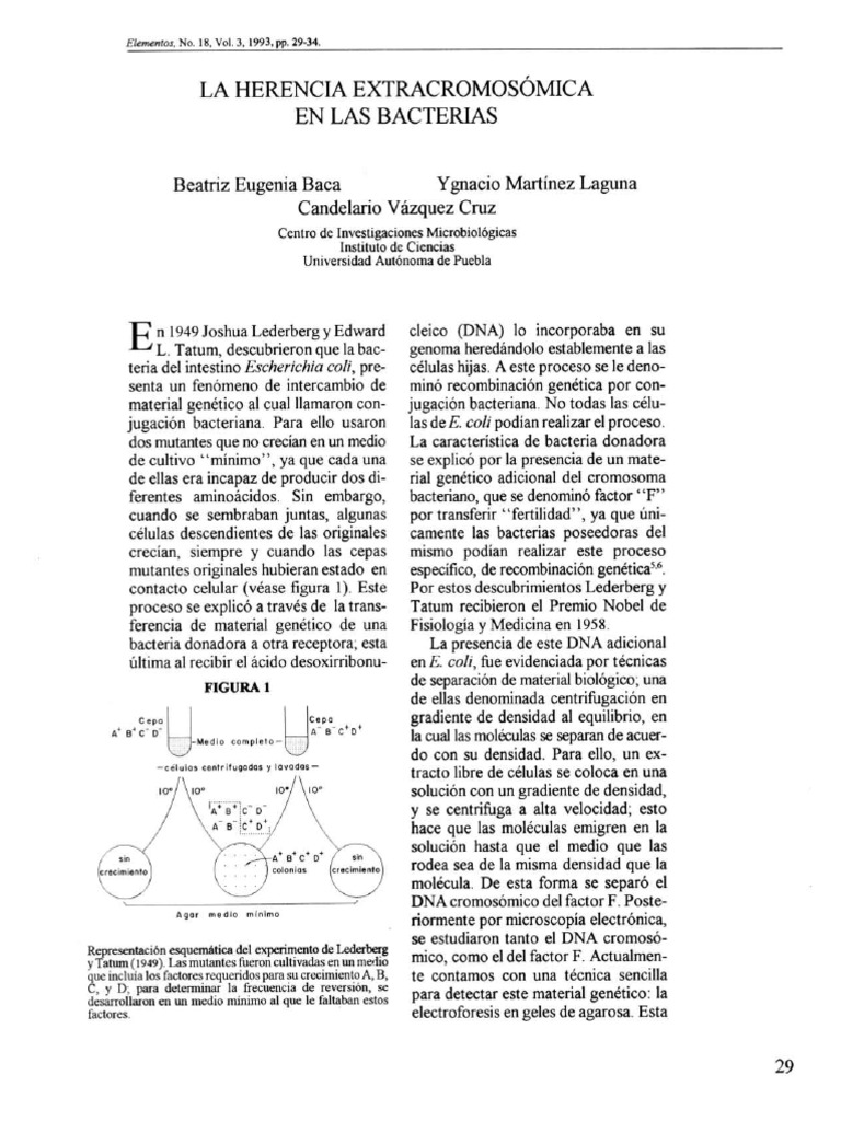 La Herencia Extracromosómica en Las Bacterias | PDF