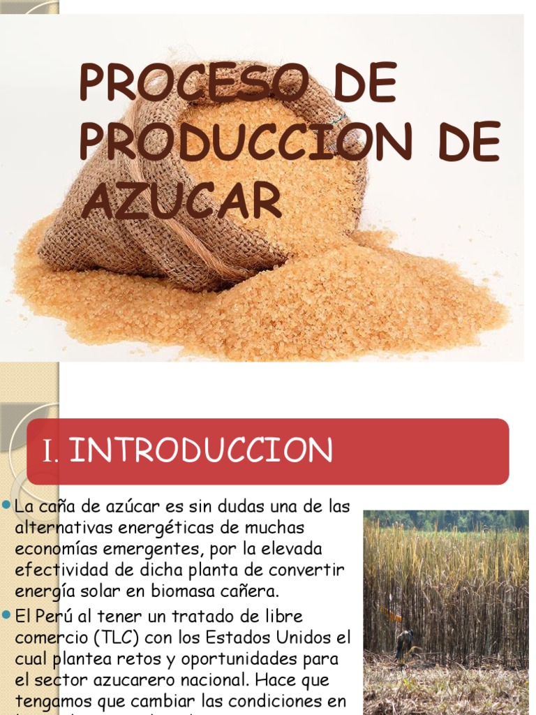 Proceso de Produccion de Azucar | PDF | Azúcar | Dieta y nutrición