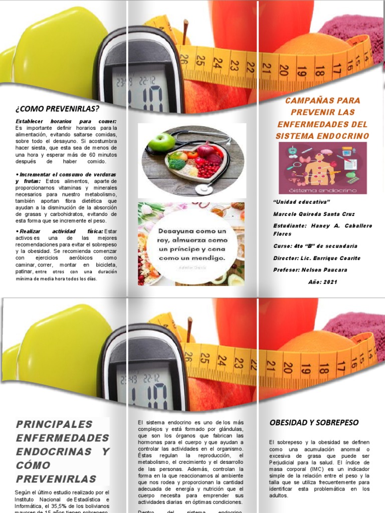 Triptico | PDF | Obesidad | Alimentos