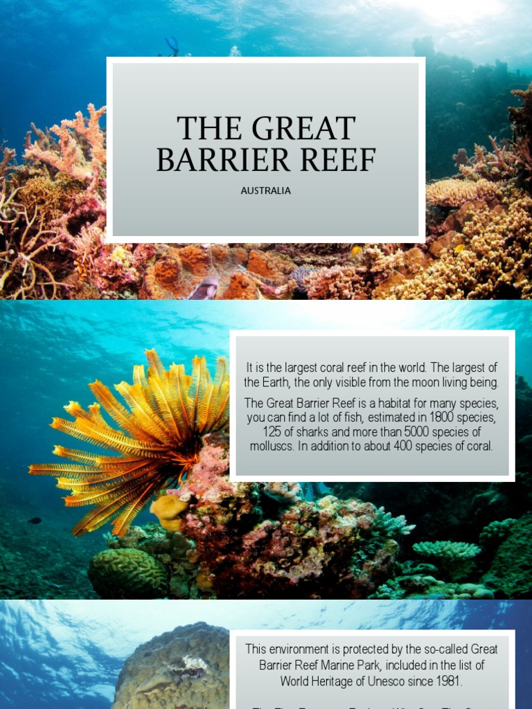 Explore the Great Barrier Reef Adventures | PDF