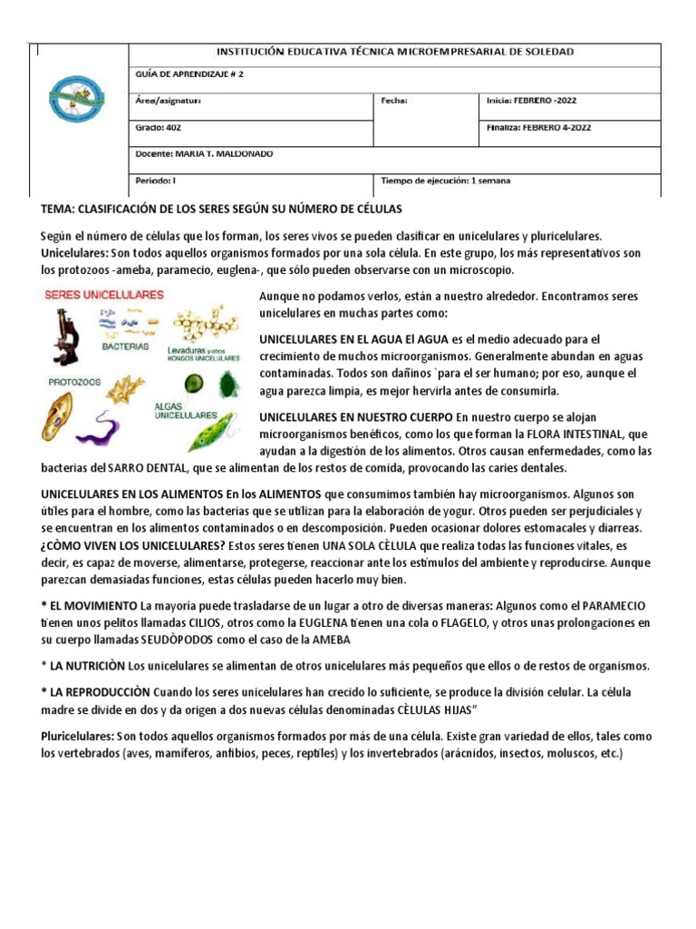 Unicelulares y Pluricelulares | PDF | Biología Celular) | Organismos