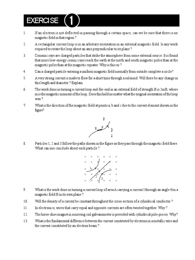 Magnetism Exercise | PDF | Magnetic Field | Rotation Around A Fixed Axis