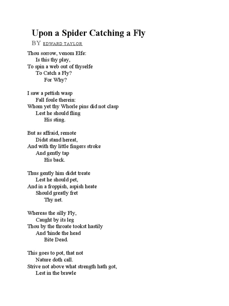 Upon A Spider Catching A Fly | PDF | Paul The Apostle | Poetry