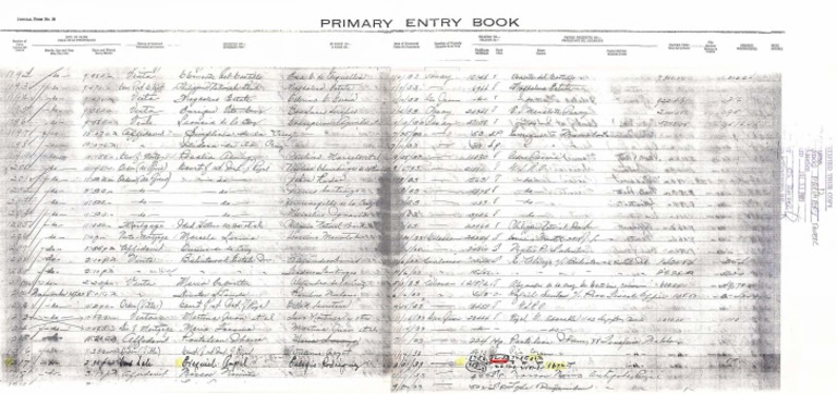 Primary Entry Book | PDF