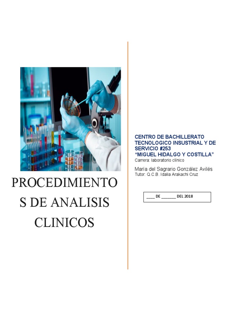 Memoria Experiencia Laboral | PDF