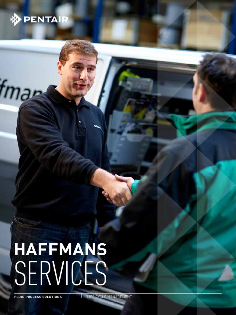 Services Haffmans Brochure | PDF | Technical Support | Carbon Dioxide