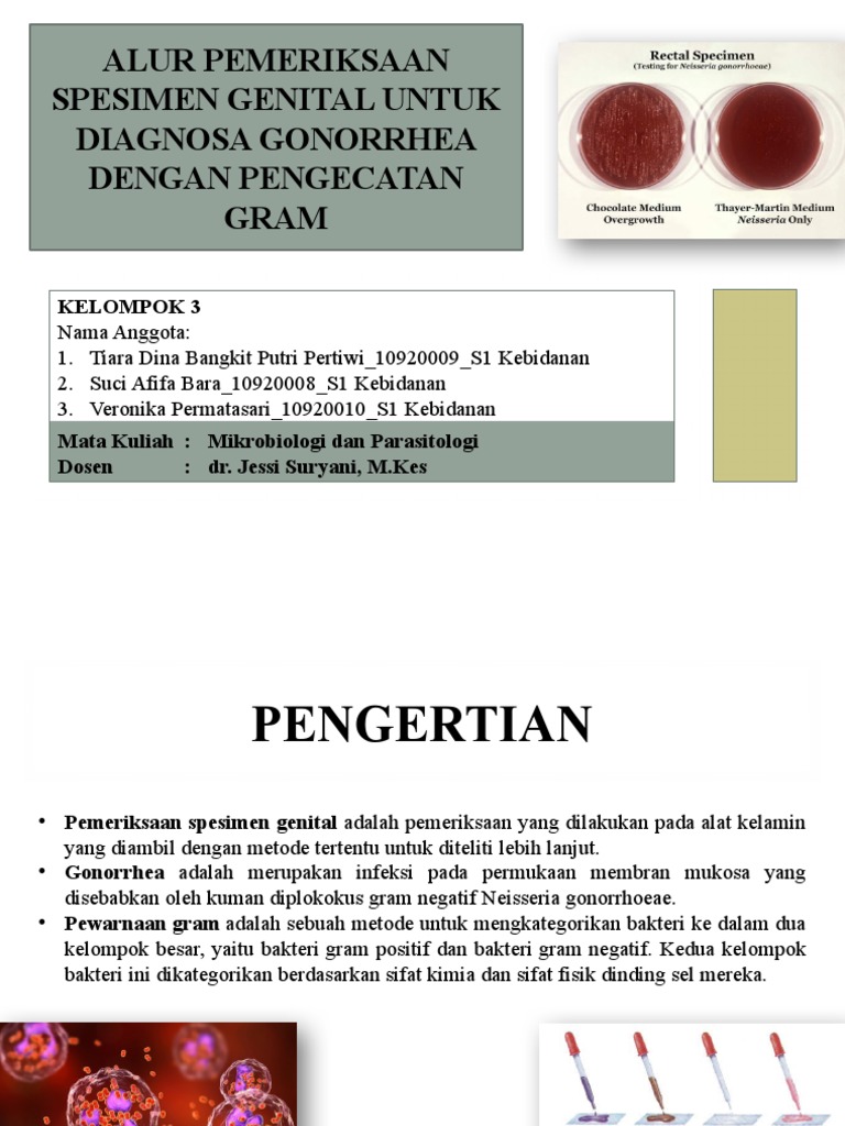 Kelompok 3 - S1 Kebidanan - Alur Pemeriksaan Spesimen Genital Untuk ...