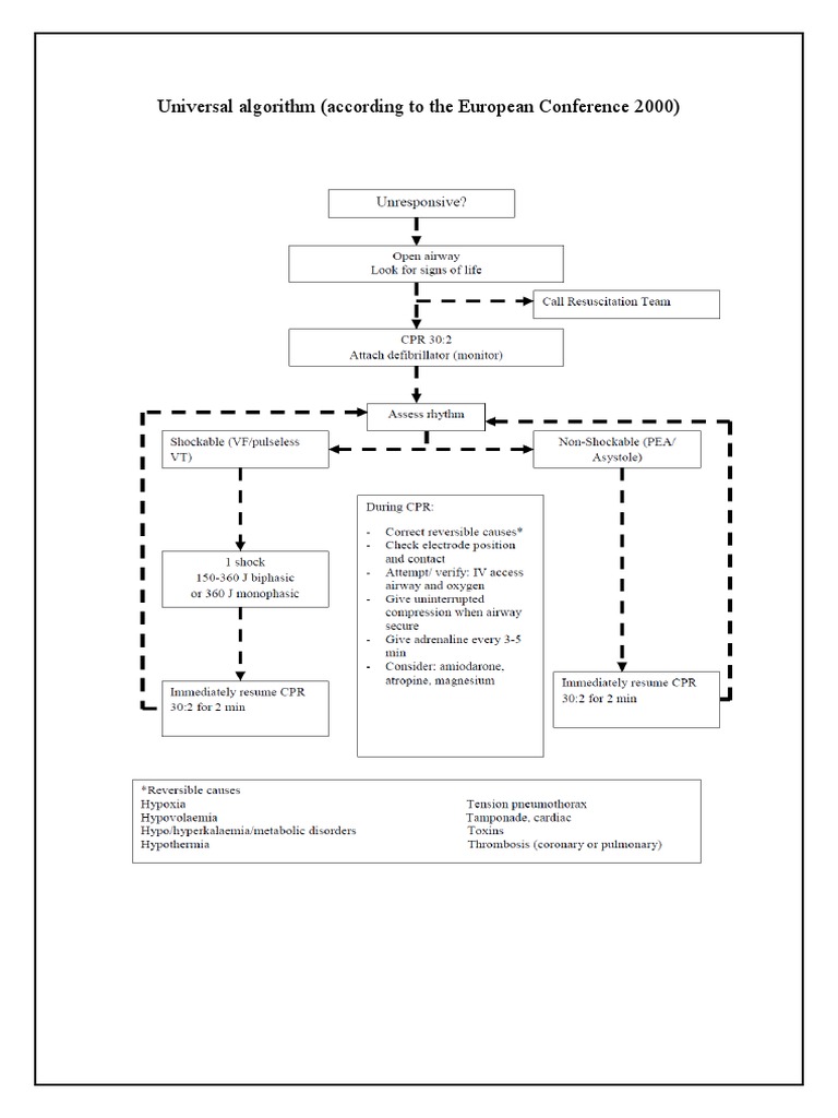 Universal Algorithm (According To The European Conference 2000) | PDF ...