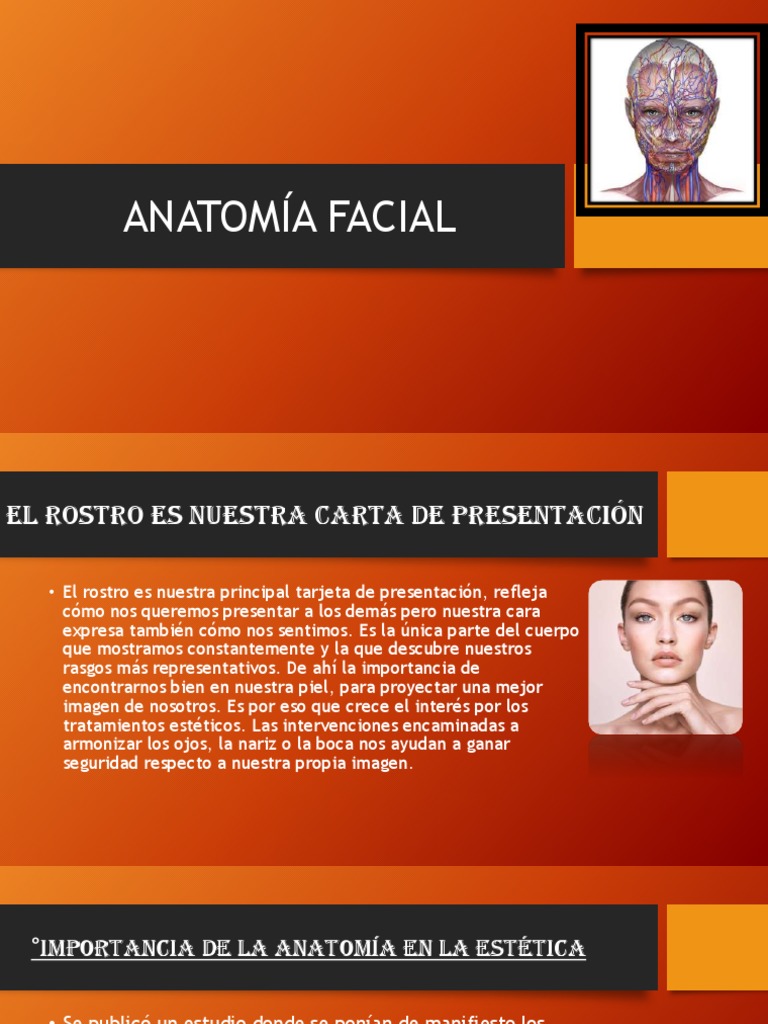 Anatomía Facial | PDF | Cara | Sistema musculoesquelético